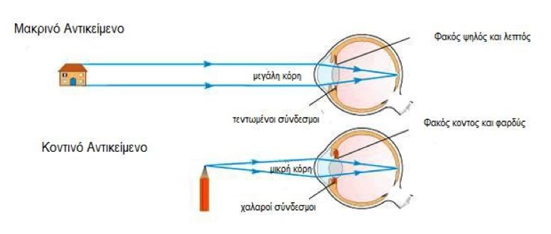 ΕΞΕΙΔΙΚΕΥΜΕΝΑ ΧΕΙΡΟΥΡΓΕΙΑ - PrimeonEye